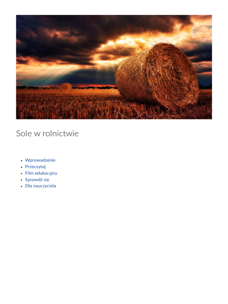 Sole - W - Rolnictwie 2 | PDF