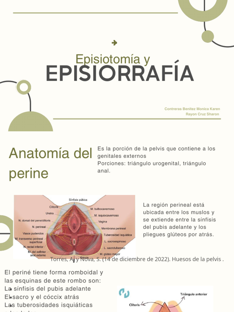 Episiotomia PDF | PDF | Pelvis | Parto