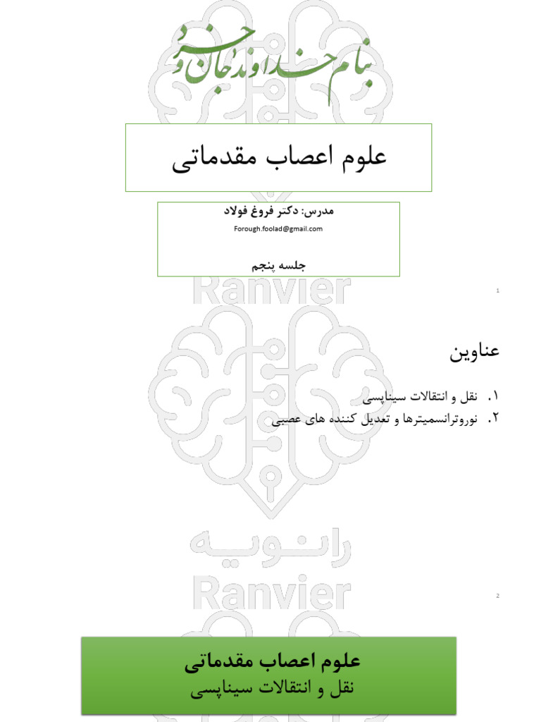 Basic Neuroscience 5 | PDF