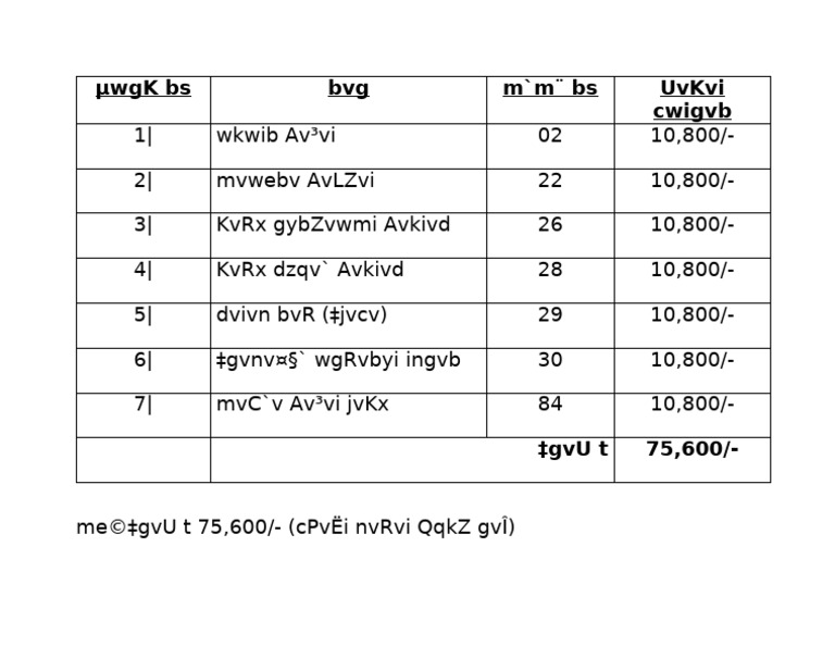 Somity Payment Summary | PDF