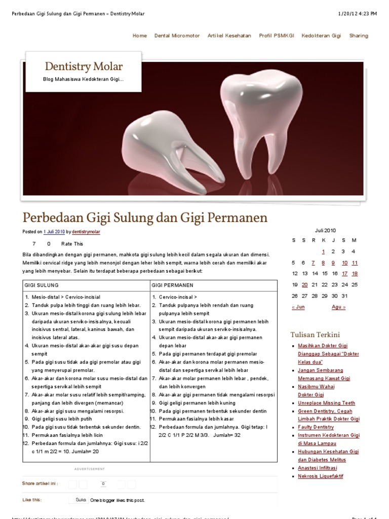 Perbedaan Gigi Sulung Dan Gigi Permanen Dentistry Molar | PDF