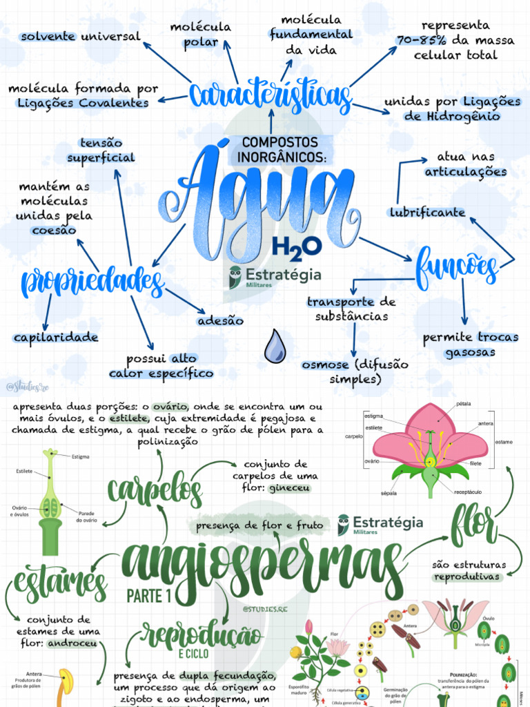 Mapas Biologia - Parte 1 | PDF
