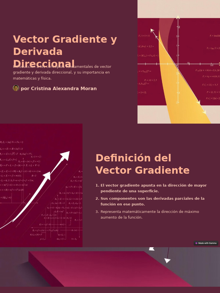 Vector Gradiente y Derivada Direccional | PDF | Degradado | Vector Euclidiano