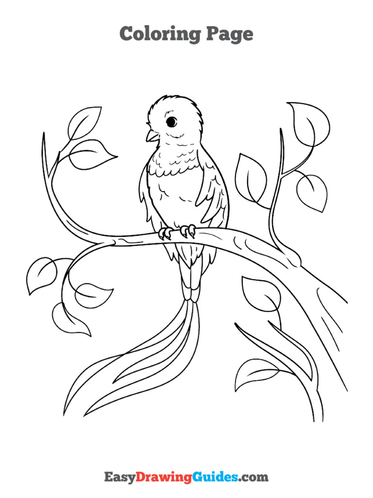 2090 Easy Quetzal Coloring Page | PDF