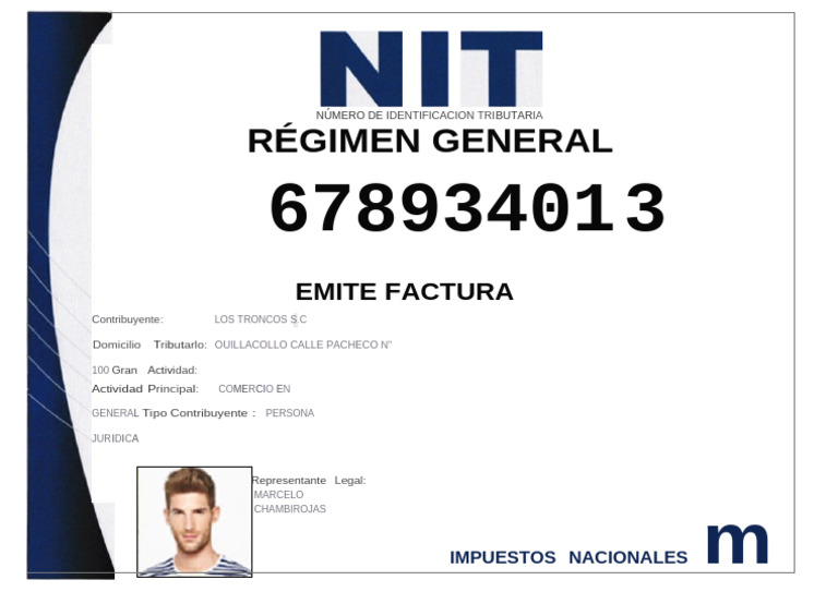 Modelo de Nit Bolivia | PDF