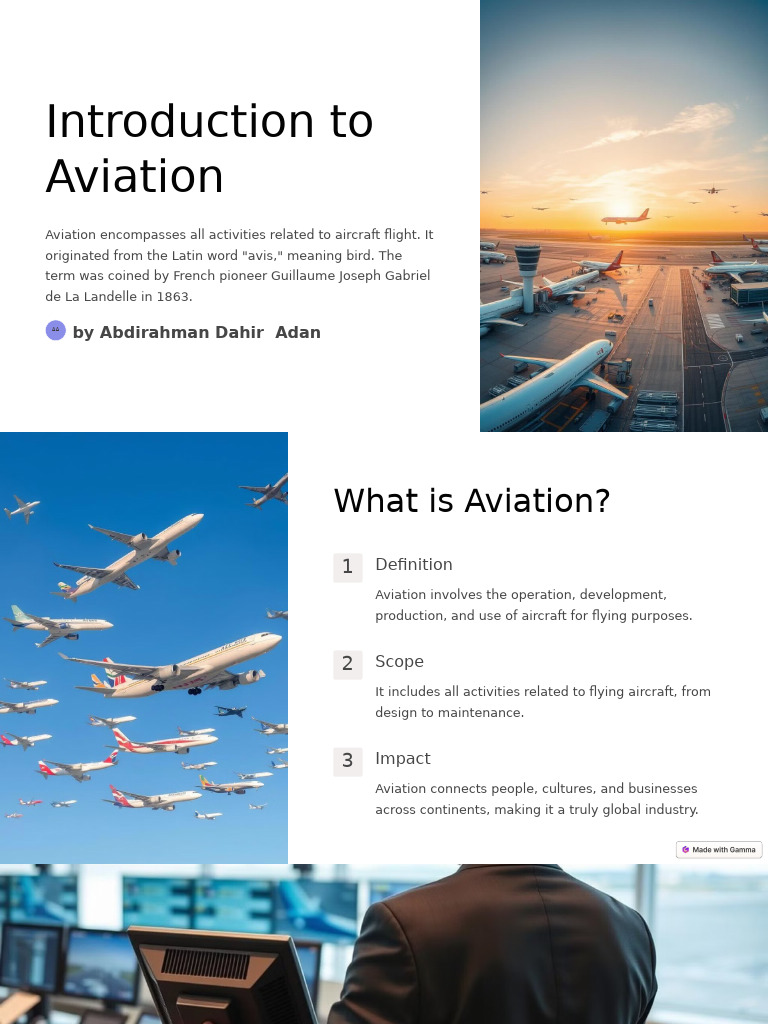 Overview of Aviation and Its Sectors | PDF | Aviation | Airport