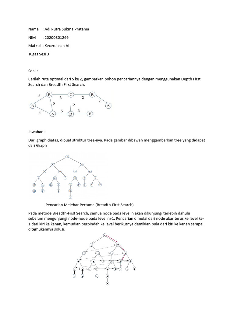 TS3 Adi 20200801266 kecerdasanAI | PDF