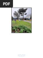 Leyenda Del Algarrobo | PDF