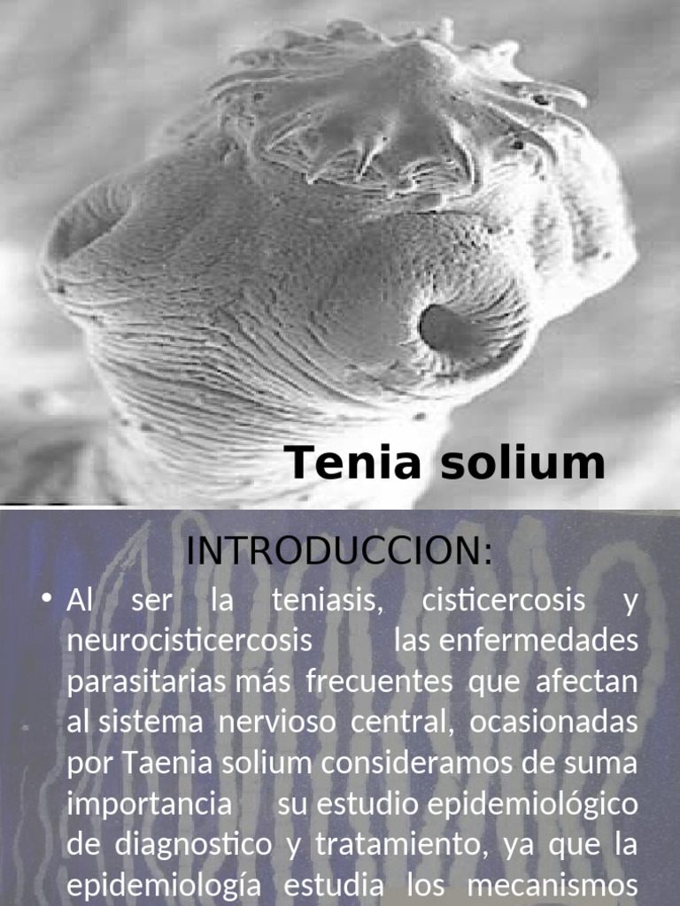 Tenia Solium | PDF | Salud pública | Epidemiología