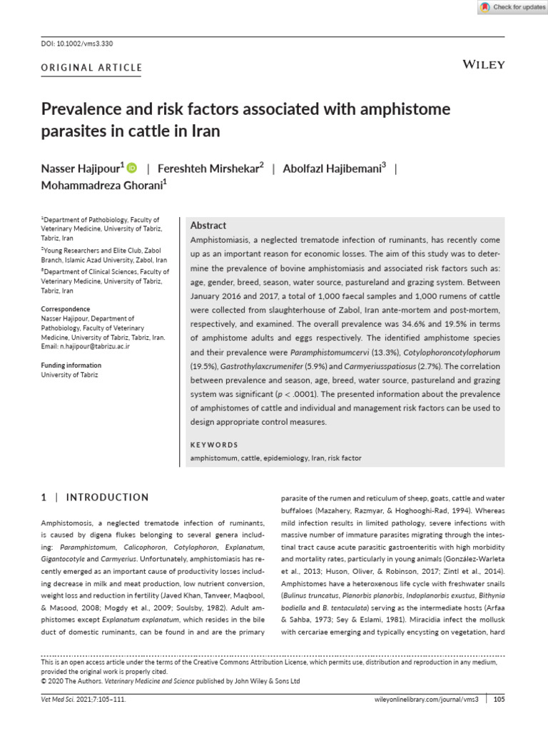 Prevalence of Amphistomiasis in Cattle | PDF