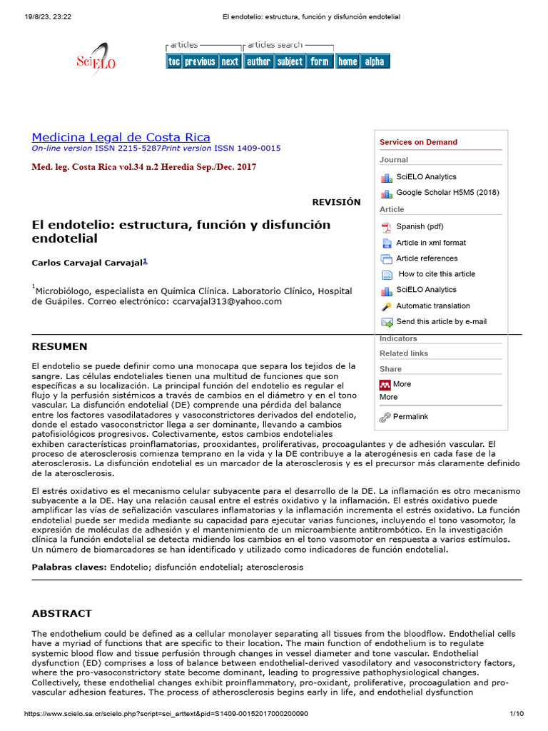 El Endotelio, Estructura, Función y Disfunción Endotelial | PDF ...