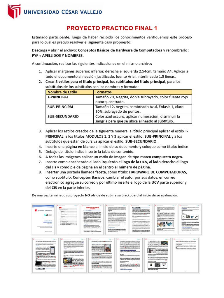 Proyecto Practico-Ef-A | PDF