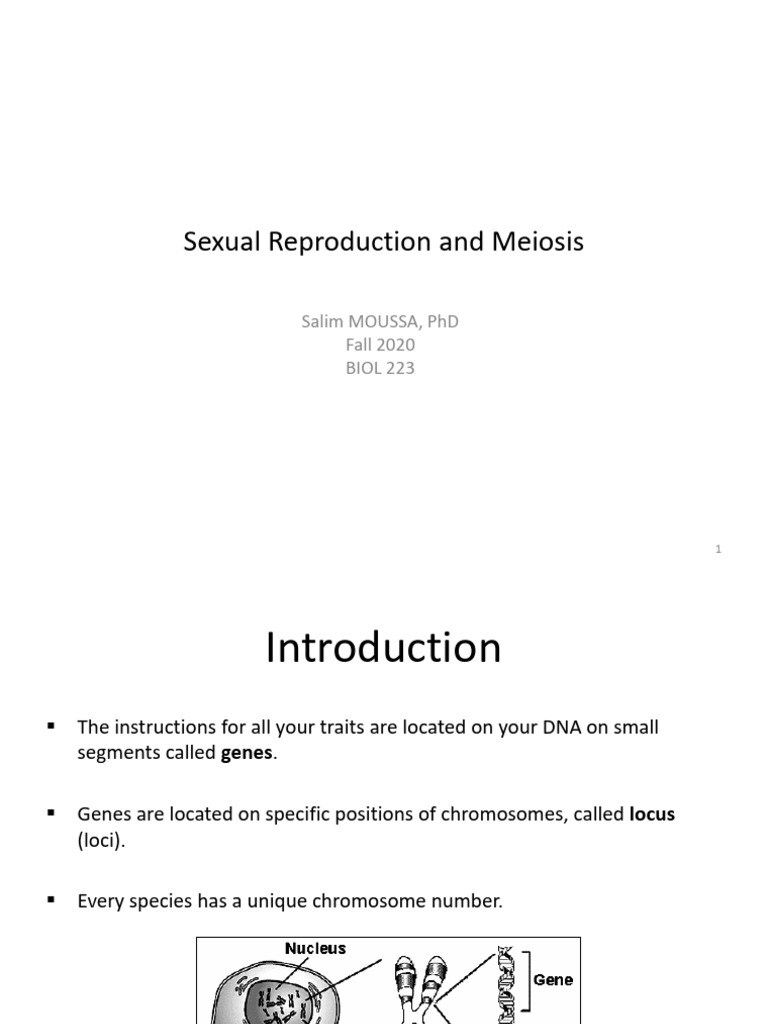 BIOL 223-Genetics-Sexual Reproduction and Meiosis | PDF | Meiosis ...