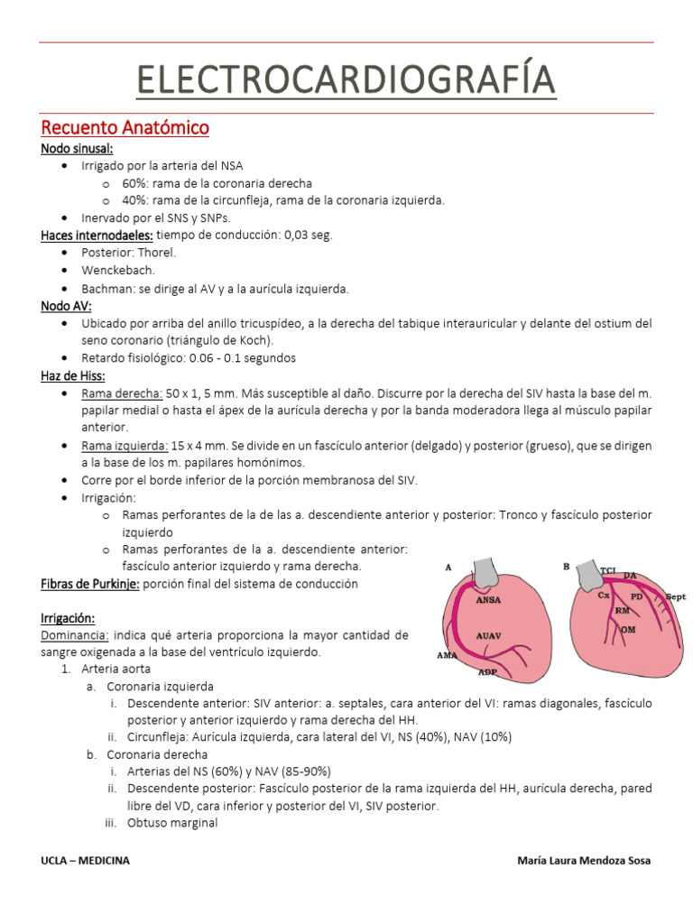 Guía EKG | PDF | Electrocardiografia | Electrofisiologia