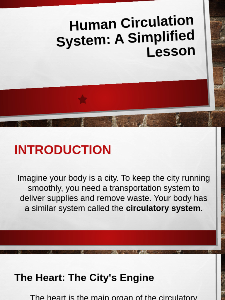 Simplified Guide to Human Circulation | PDF | Religion & Spirituality ...