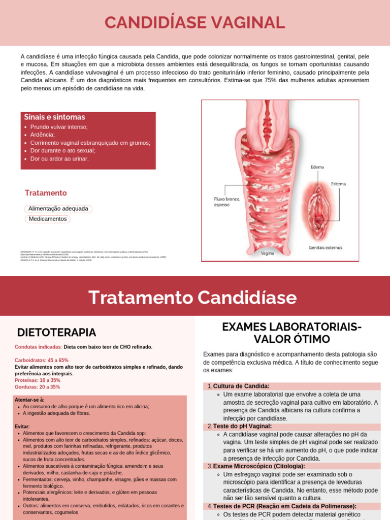 Lâmina Candidíase Vaginal Pdf Candidíase Fermento