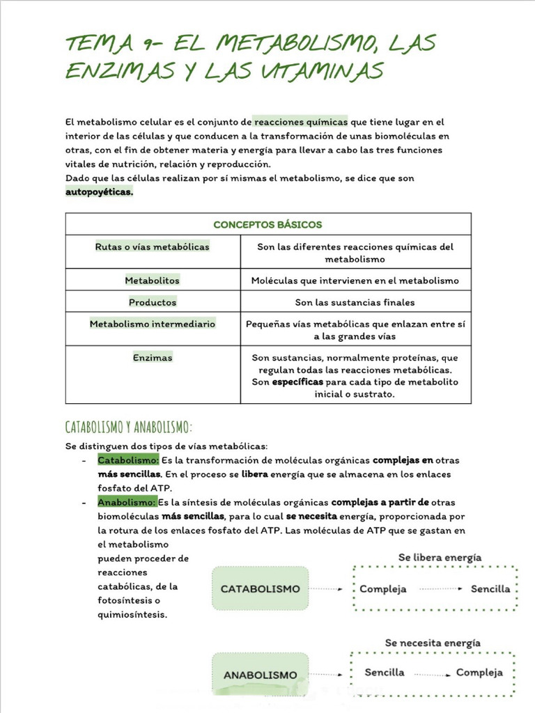 Tema 9 Biologia 2 Bach Selectividad | PDF