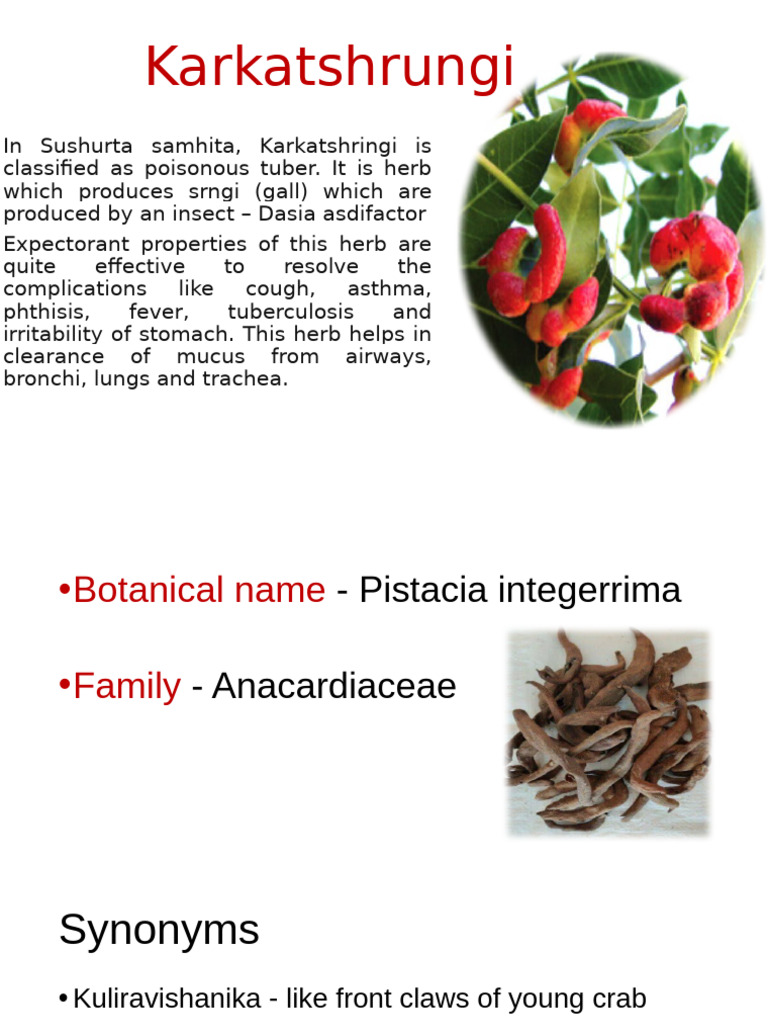 karkatshringi 1 | PDF | Seed | Plants