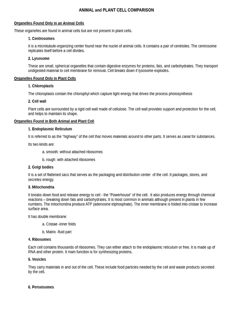 ANIMAL and PLANT CELL COMPARISON Notes | PDF | Cell (Biology) | Cell ...