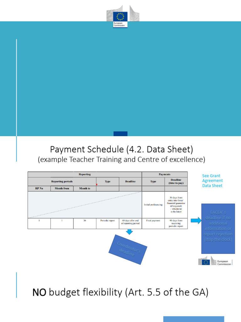 Projects Lump Sum Type II Alina Filimon | PDF | Business Law | Private Law