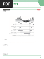 Calculation-Magnification-Qs Pack-Gcse | PDF | Micrograph | Cell (Biology)