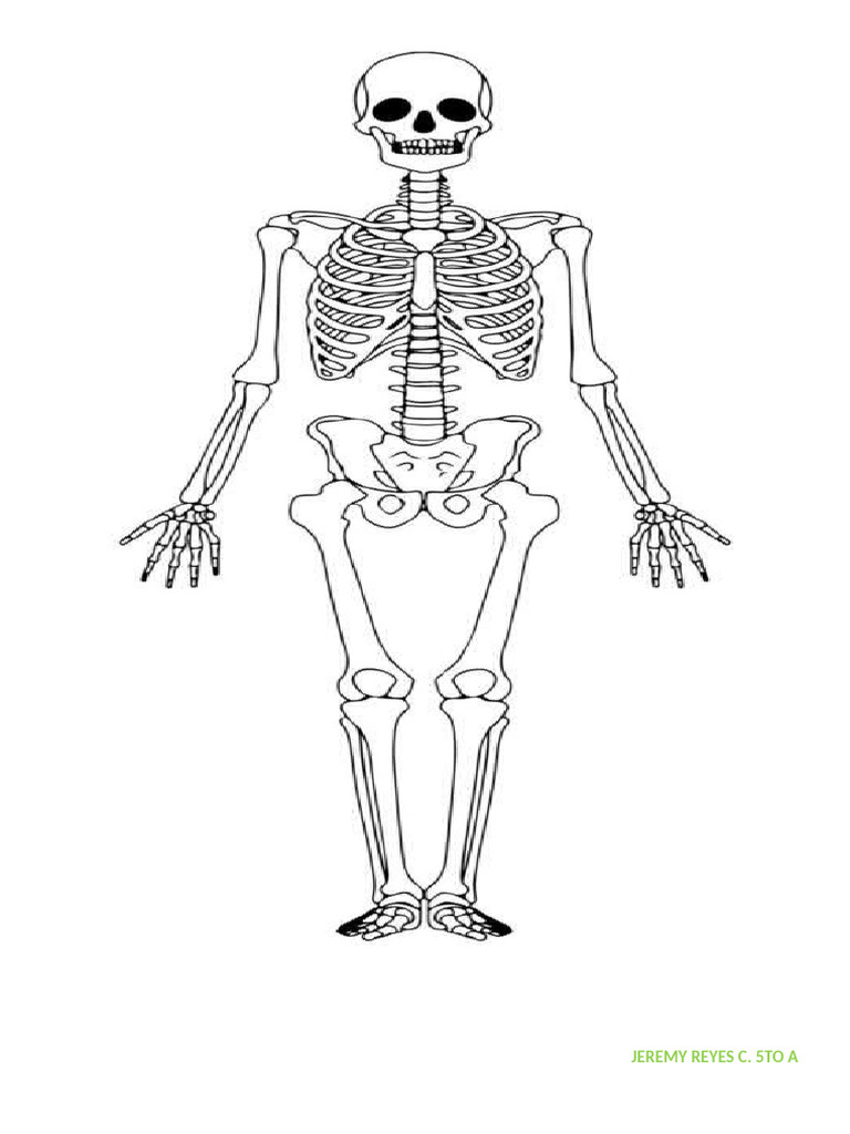 JEREMY REYES CC | PDF