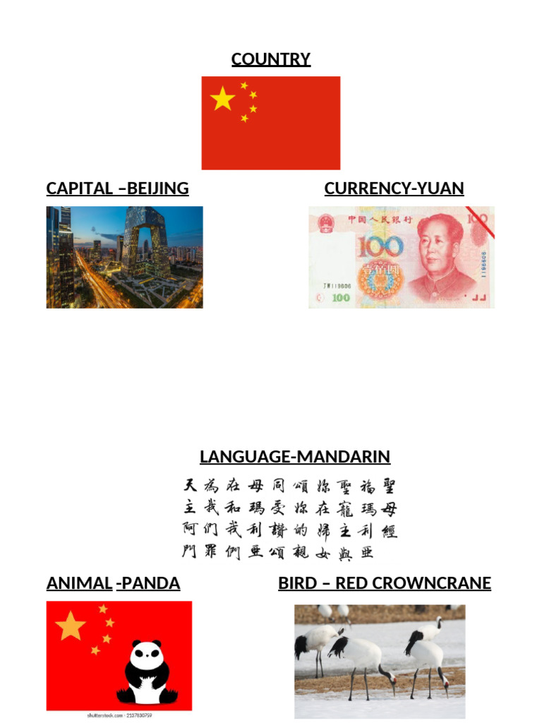 1B1 China | PDF
