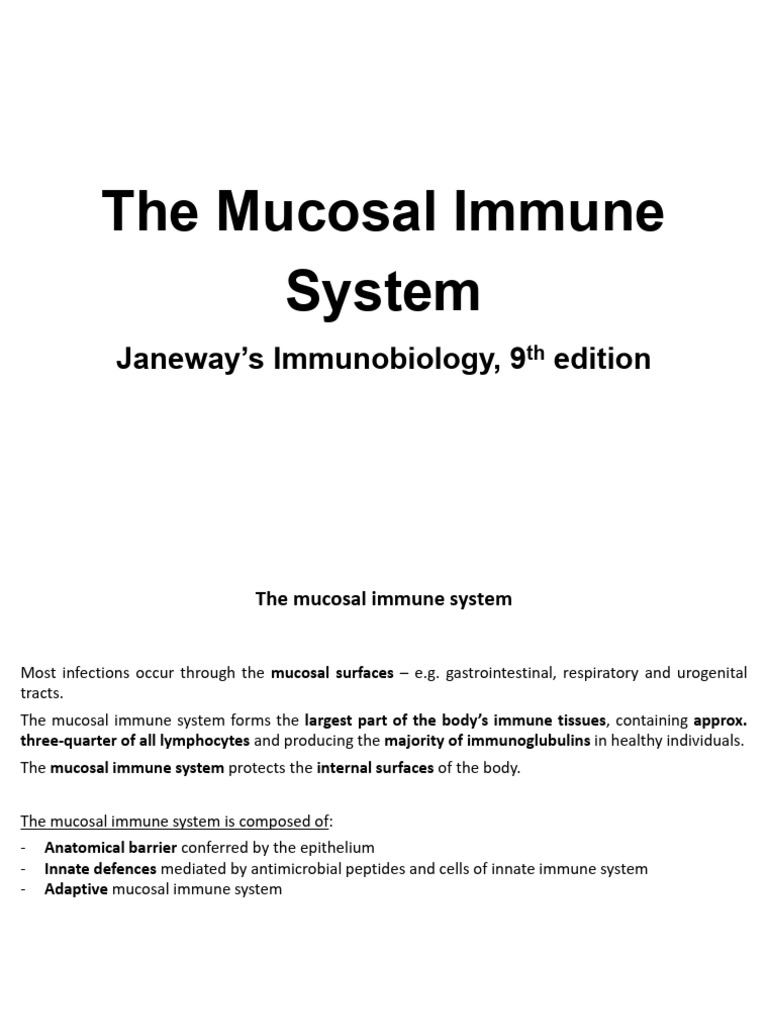 The Mucosal Immune System | PDF | Immune System | Innate Immune System