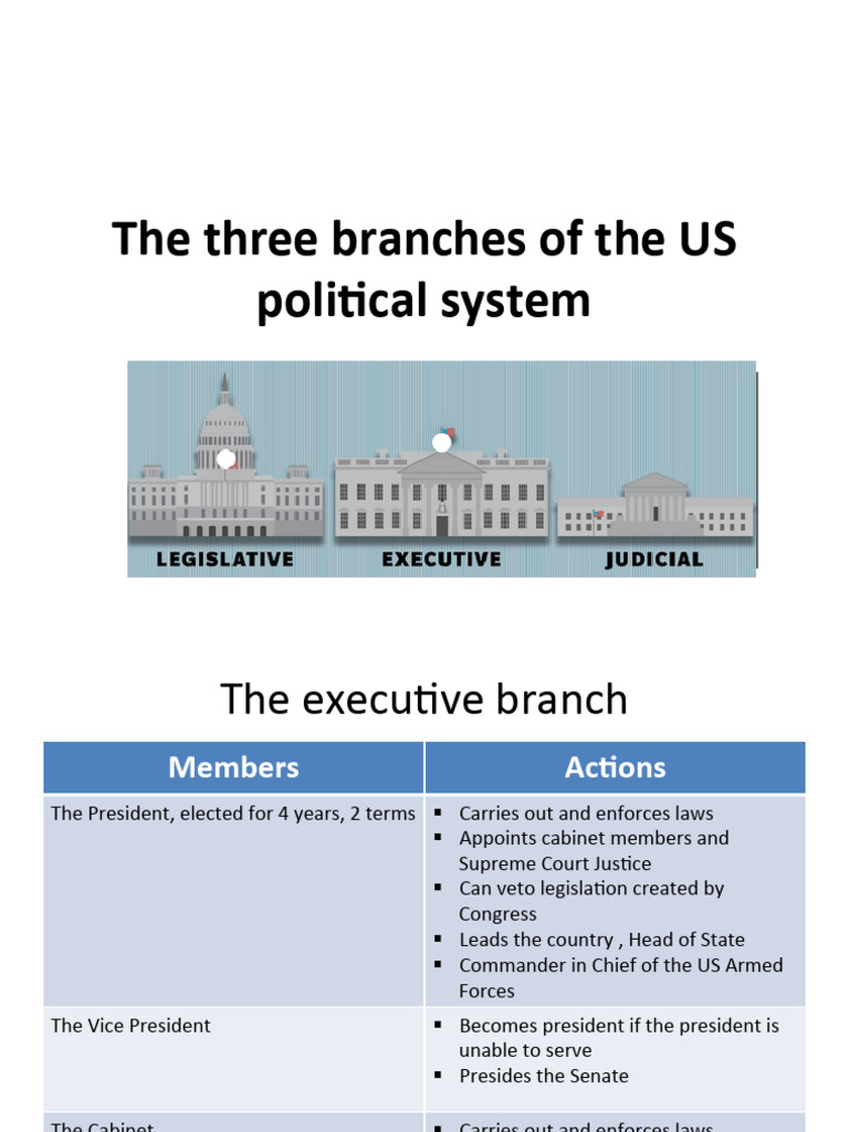 Understanding US Government Basics | PDF | Politics | Law