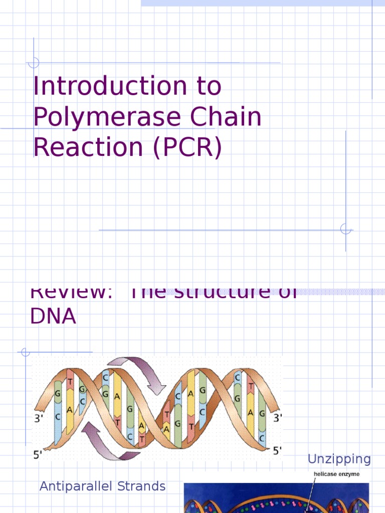 Introduction To Polymerase Chain Reaction (PCR) | PDF | Polymerase ...