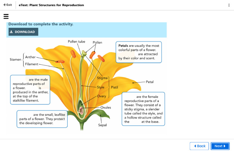 Savvas Realize | PDF