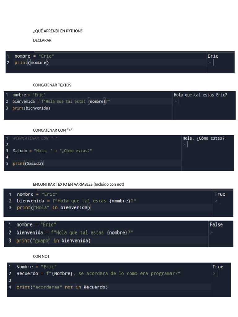 Qué Aprendi en Python | PDF