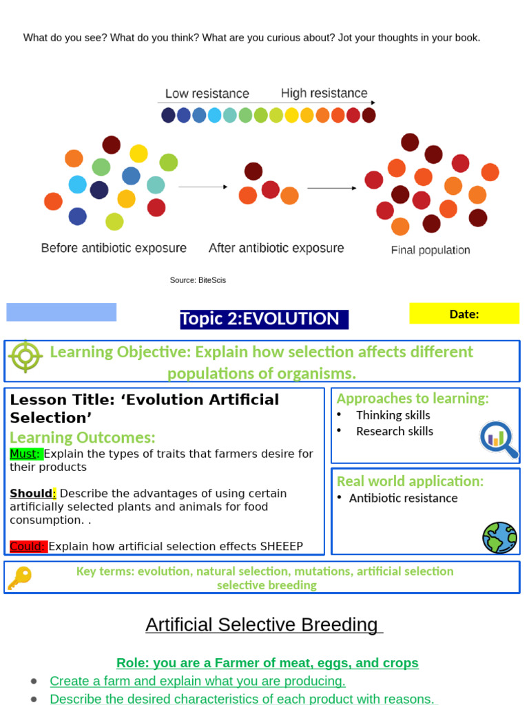 Artificial Selection Farming | PDF | Natural Selection | Selective Breeding
