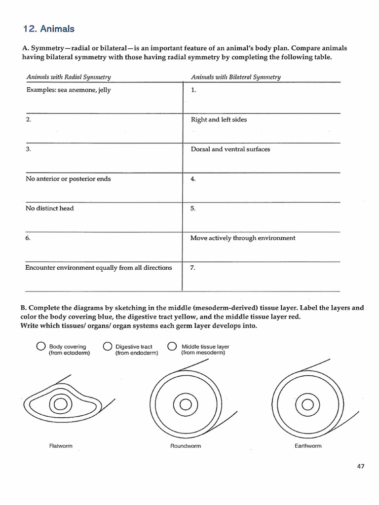 Biology Notebook | PDF