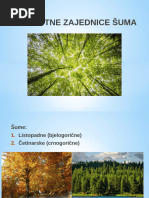 Lišćarske Listopadne Šume | PDF