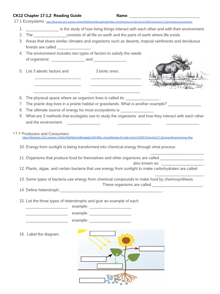 CH 17-1 and 17-2 CK12 Reading Guide - Ecosystems | PDF | Ecosystem ...