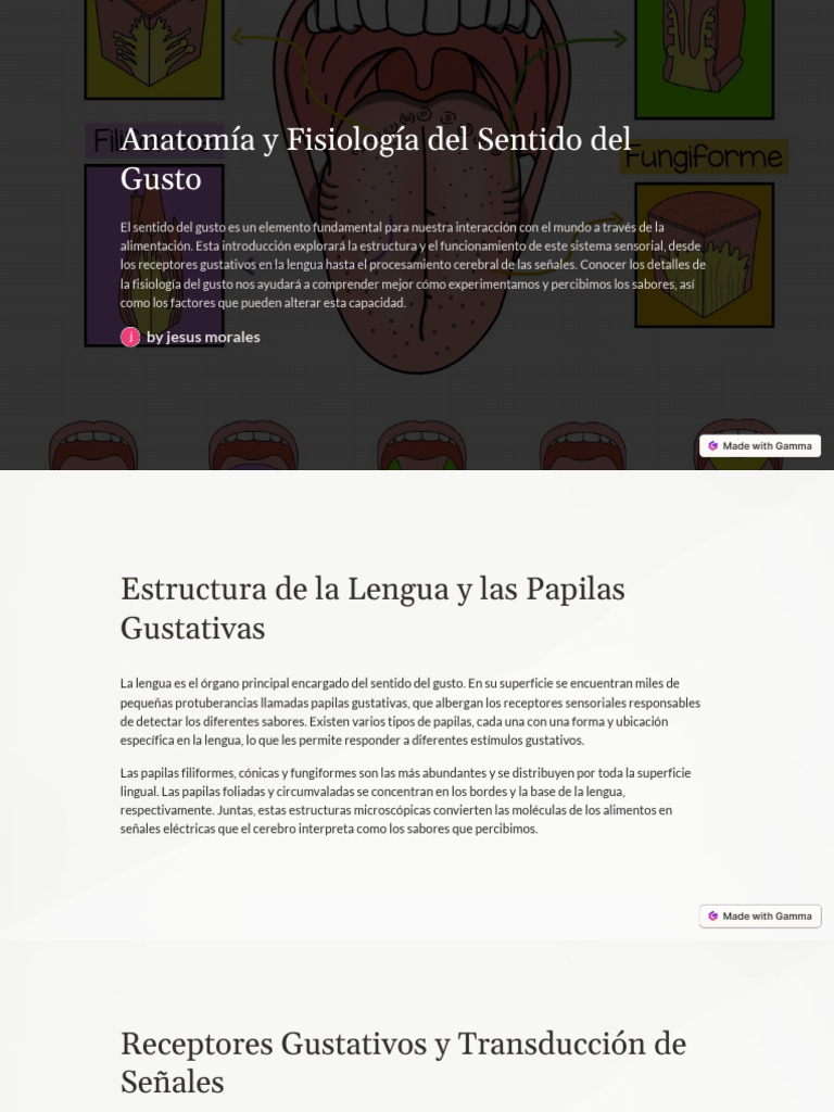 Anatomía y Fisiología del Gusto | PDF | Gusto | Sentidos