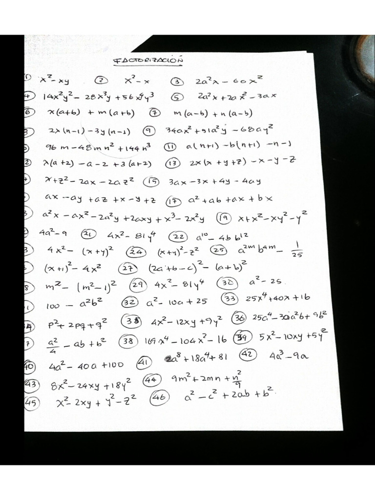 Ejericios de Factorizacion | PDF