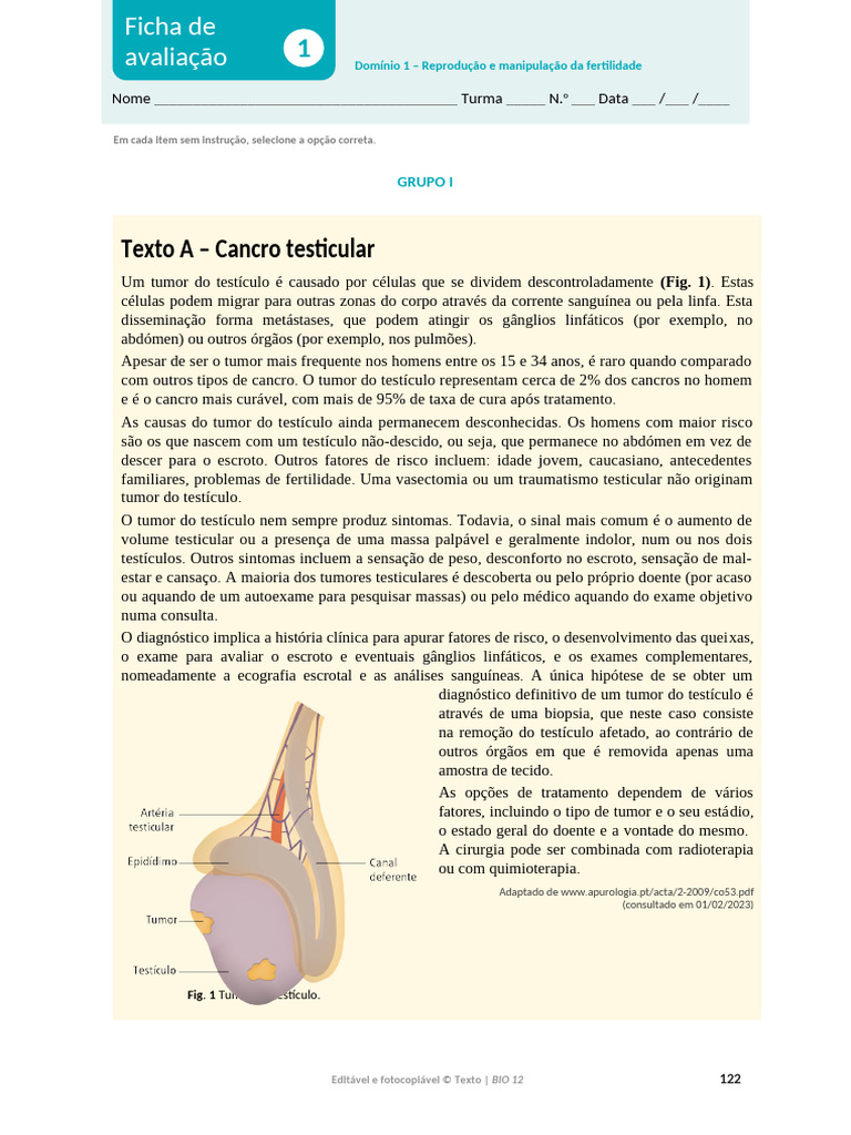 Ficha de Avaliação 1 | PDF | Ciclo menstrual | Menstruação