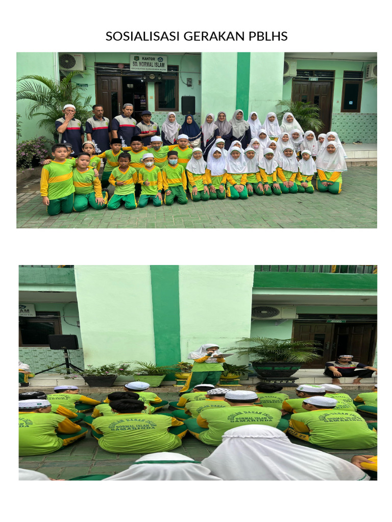 Sosialisasi Gerakan PBLHS | PDF