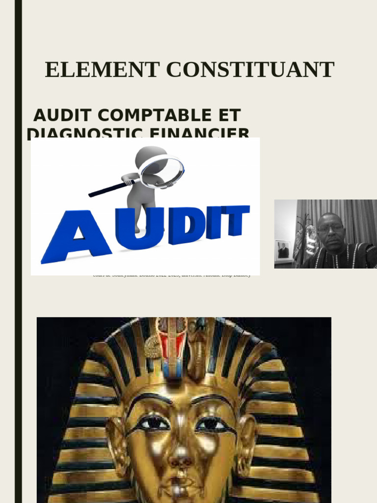 Audit Comptable et Diagnostic Financier | PDF | Audit financier | Audit
