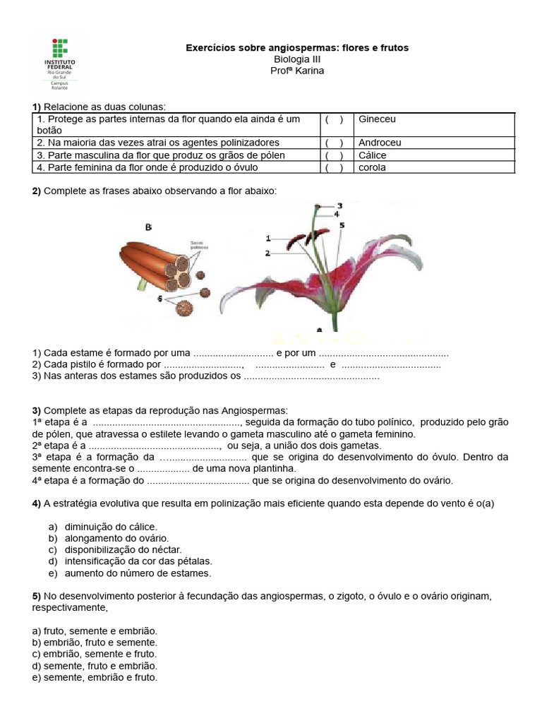 Exercícios sobre Flores e Frutos | PDF | Flores | Polinização