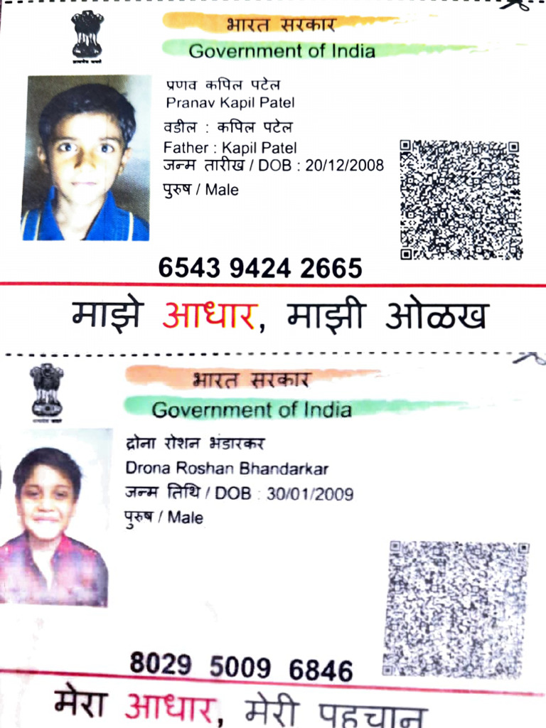 Aadhaar Card Details for Indian Males | PDF
