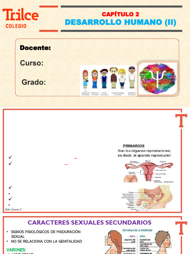 Cap 2 Psico | PDF | Adolescencia | Adultos