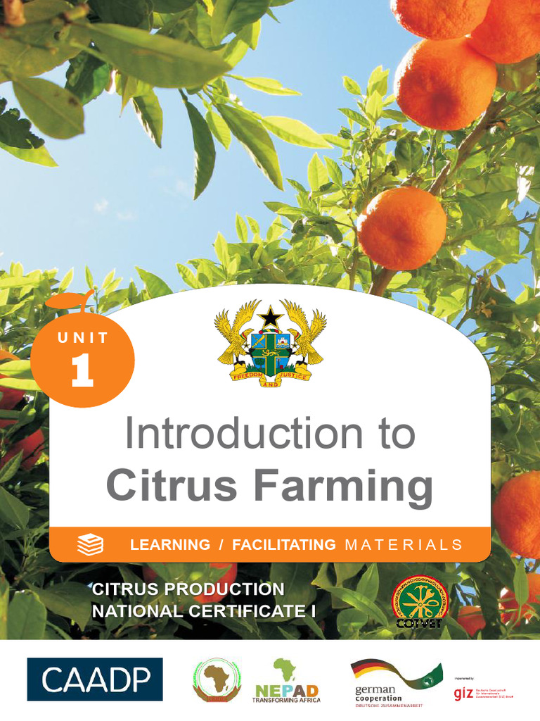 Introduction to Citrus Farming Guide | PDF | Citrus | Lime (Fruit)