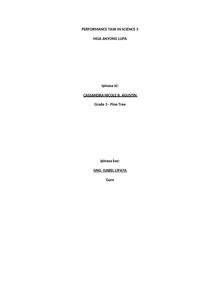 Performance Tas-Wps Office | PDF