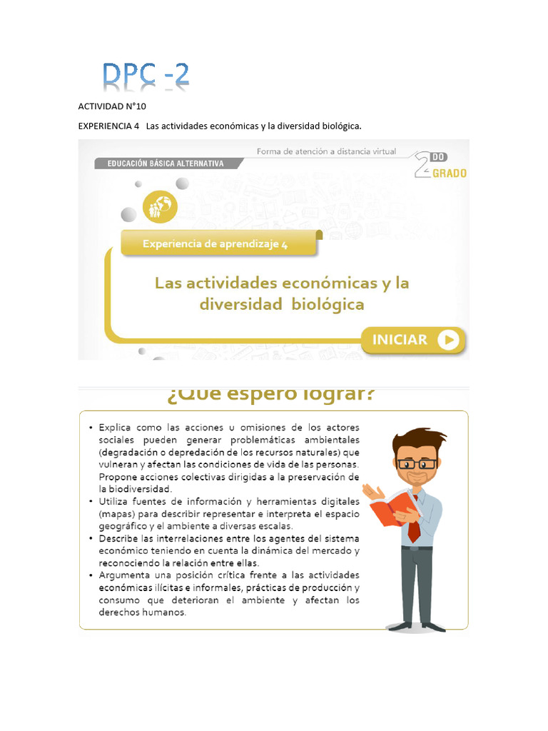 Actividad N°10 DPC-2 | PDF