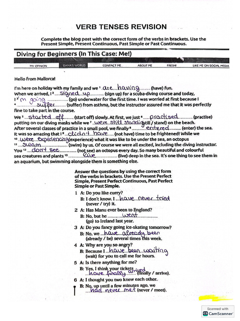 Verb Tenses Revision - KEY | PDF