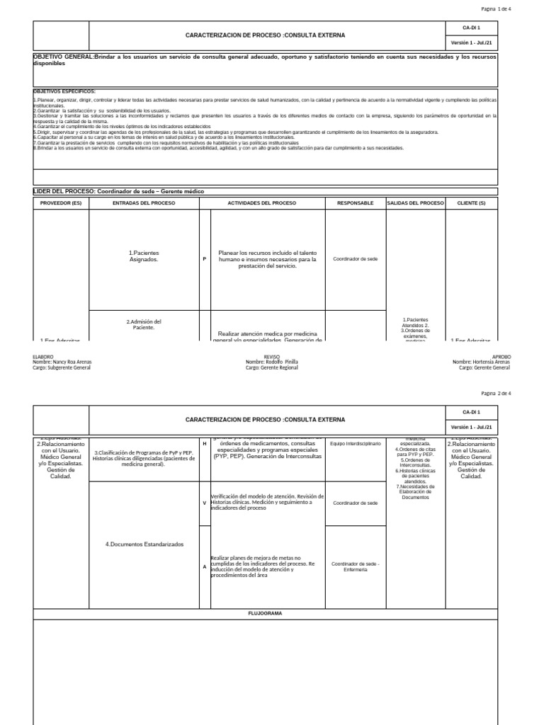 Plantilla Caracterización de Proceso Act 2 | PDF | Calidad (comercial) | Cuidado de la salud