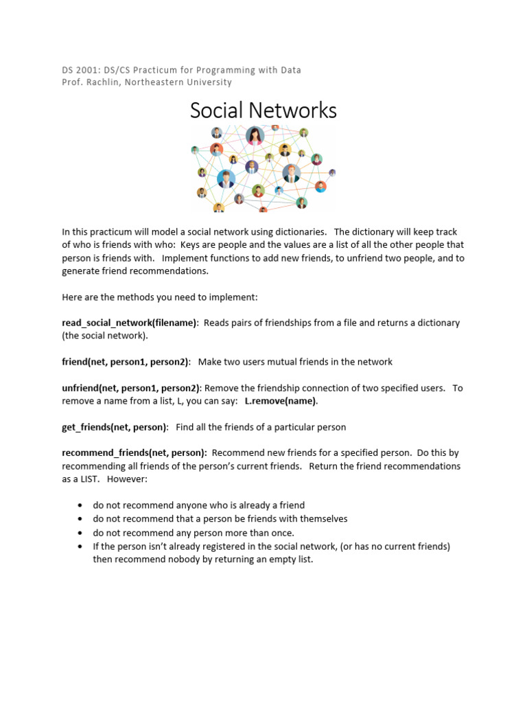 Social Network | PDF